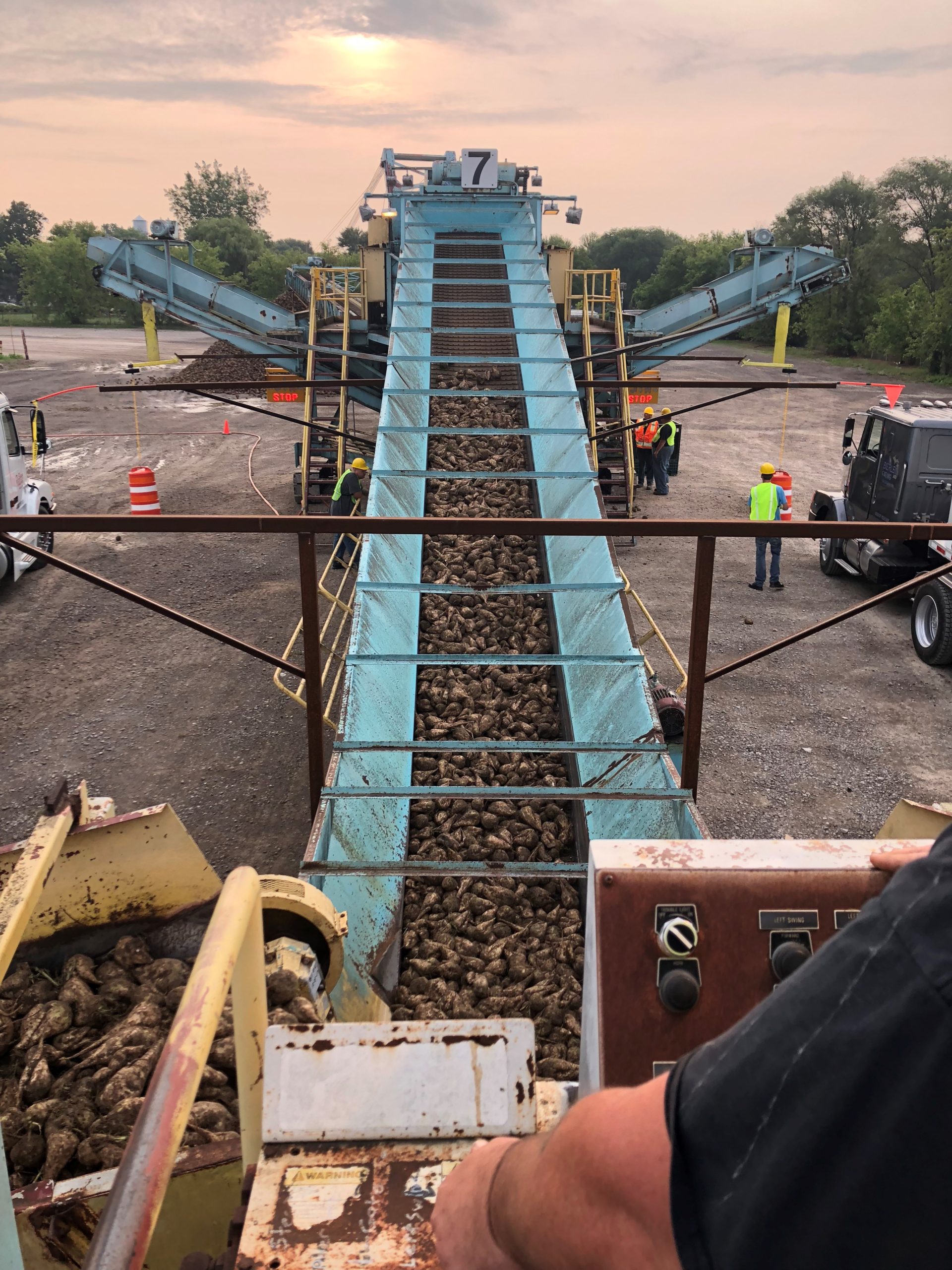 Seasonal Job Opportunities » The Unbeetable Experience